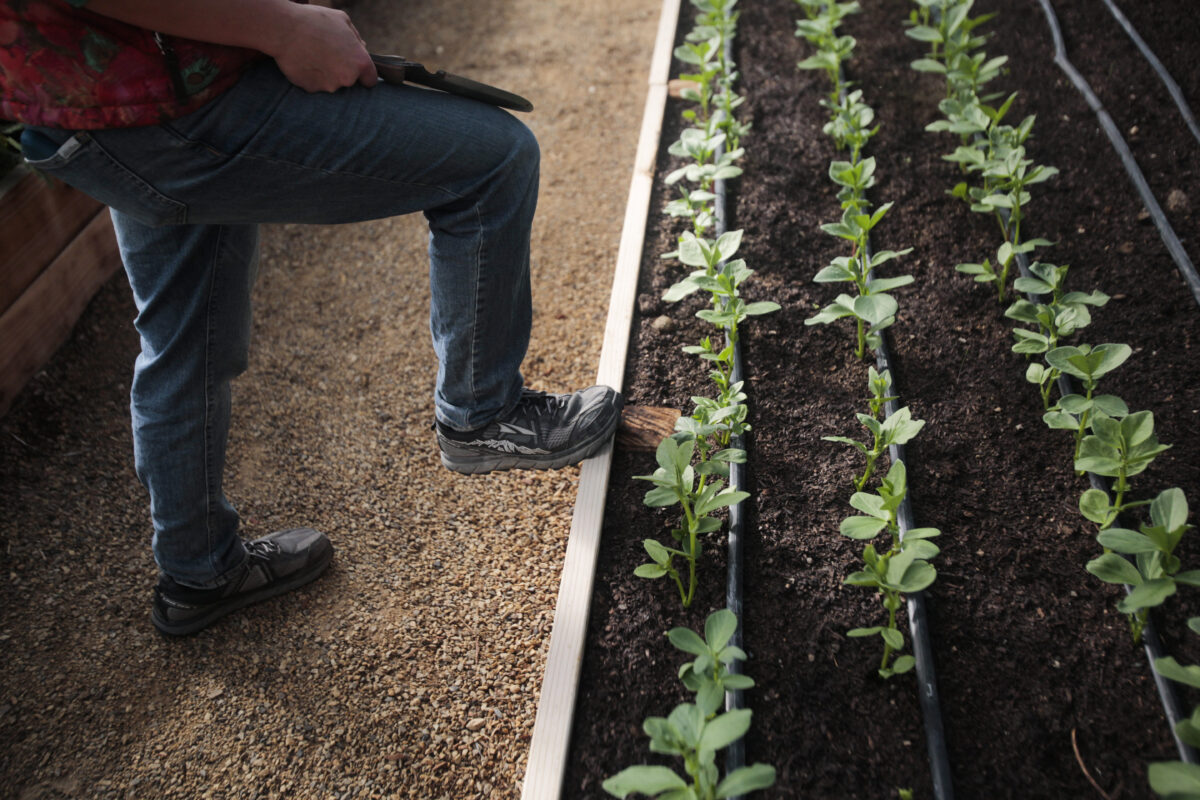 Snuck Farm continues expanding and growing through multiple farm ...